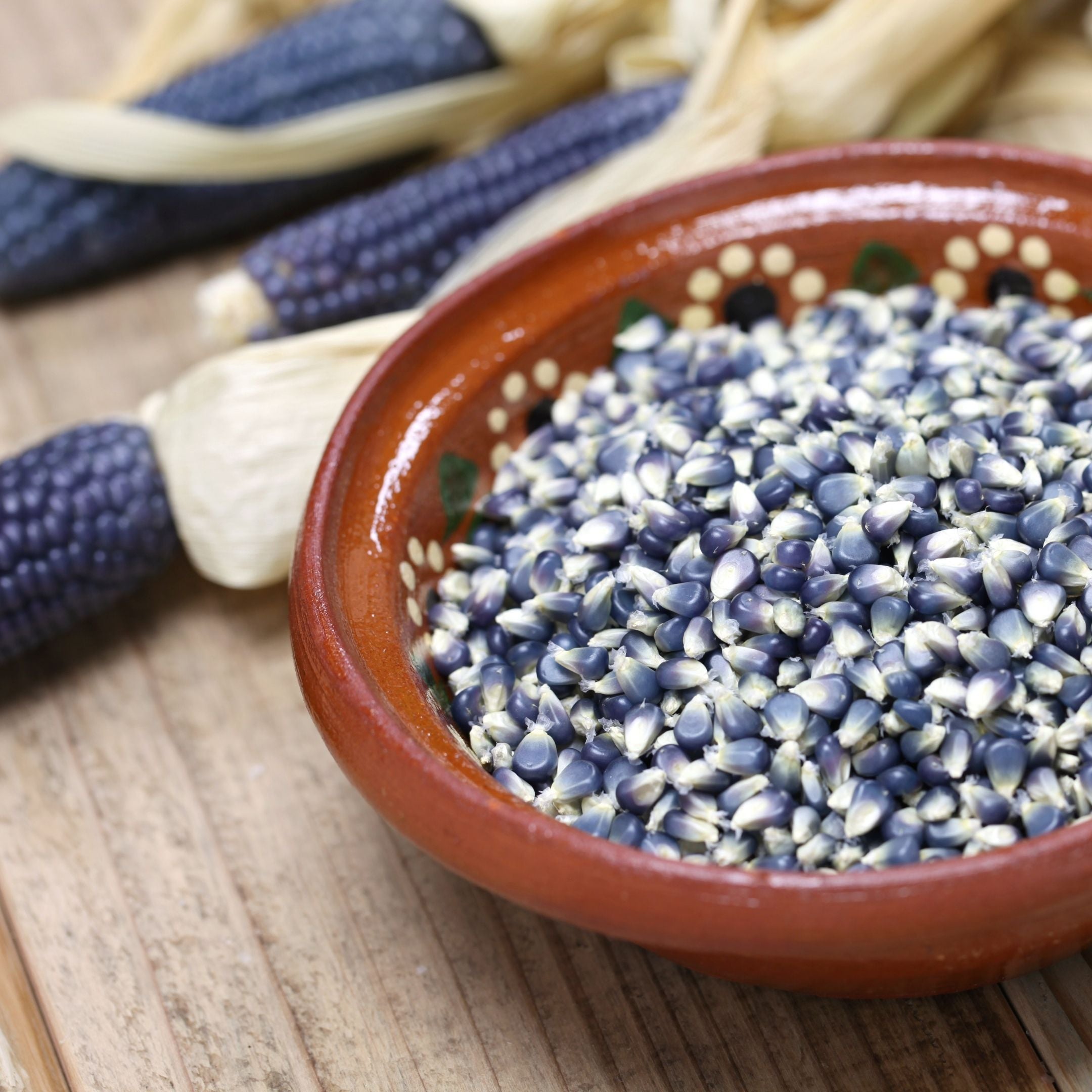 Blue vs. Yellow Corn: What is the Difference? – Sun & Swell Foods